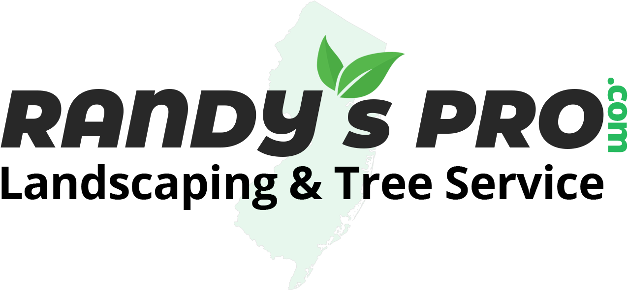 Reviews - Randy's Pro Landscaping & Tree Service