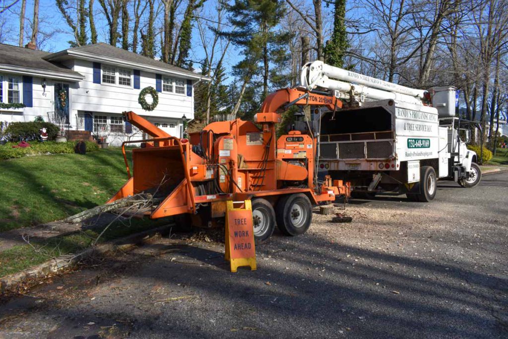Tree Services in Central NJ - Randy's Pro Tree Service